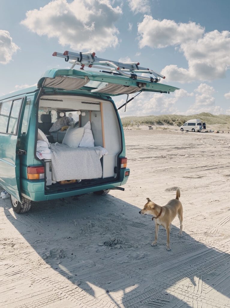 Galerie - bincampen.de